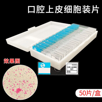生物切片永久装片人血涂片人体四大组织字母e上字初高中神经装片 口腔上皮细胞装片50片