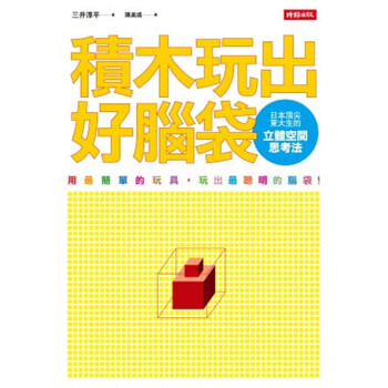 台版 积木玩出好脑袋 日本东大生的立体空间思考法培养出组织力计算能力增强沟通力想像力