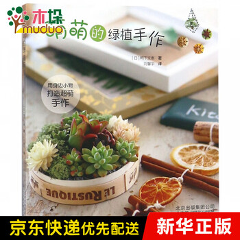 萌萌的绿植手作