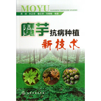 魔芋抗病种植新技术