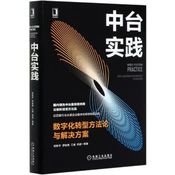 中台实践(数字化转型方法论与解决方案)(精)