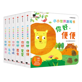 小小世界游戏书（6册套装）
