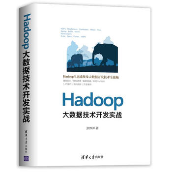 【新华正版】 Hadoop大数据技术开发实战 张伟洋 著 清华大学出版社