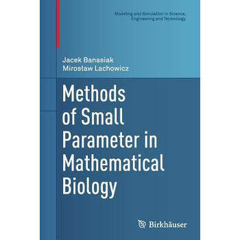 Methods of Small Parameter in Mathematical Biolo
