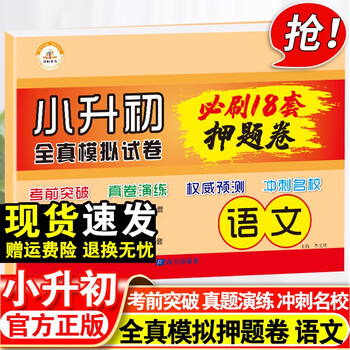 2022新版小升初必刷题语文数学英语人教版 18套押题卷全真模拟毕业升学试卷六年级升初中总复习资料同步卷期末考试冲刺名校 小升初真题卷18套  语文 小学升初中