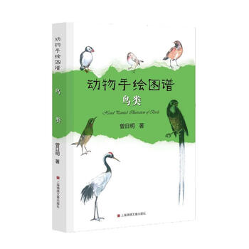 鸟类-动物手绘图谱 科普读物 曾日明著 上海锦绣文章出版社