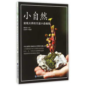 小自然(盆栽大师的无盆小品植栽)
