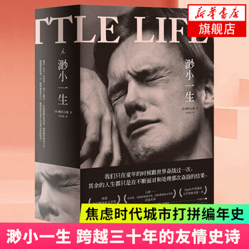 渺小一生 跨越三十年的友情史诗 理想国 生活大爆炸 外国文学小说获奖作品