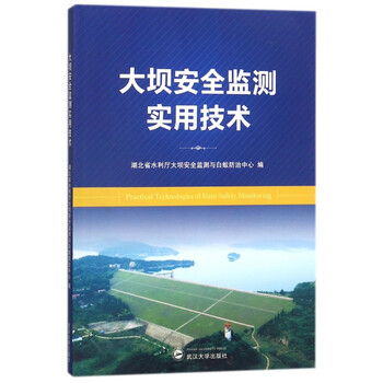 大坝安全监测实用技术