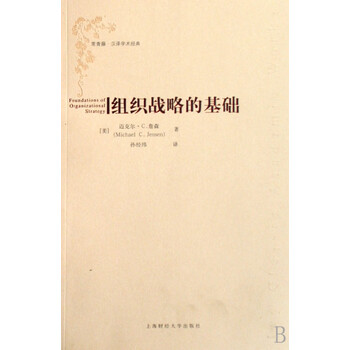 组织战略的基础/常青藤汉译学术经典