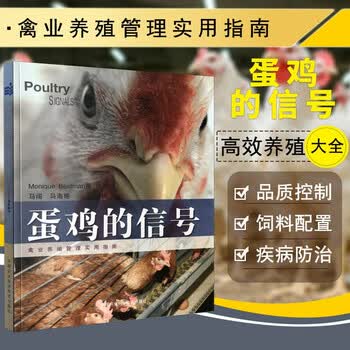 蛋鸡的信号 蛋鸡养殖技术书籍 禽业养殖管理实用指南 养鸡书籍大全 蛋鸡养殖饲养管理书籍 蛋鸡饲料书籍