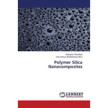 Polymer Silica Nanocomposites