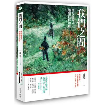台版 我们之间 萨提尔模式婚姻伴侣治疗 精彩案例及示意图介绍婚姻伴侣治疗的理