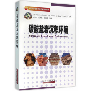 碳酸盐岩沉积环境【正版图书】
