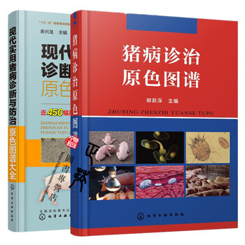 猪病诊治原色图谱+现代实用猪病诊断与防治原色图谱大全 余兴龙 养猪技术书 高效养猪猪病诊治与用药教程