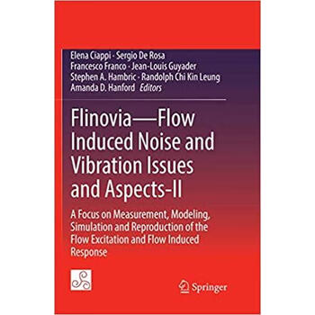 Flinovia--Flow Induced Noise and Vibration Issue