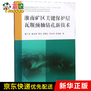 淮南矿区关键保护层瓦斯预抽钻孔新技术