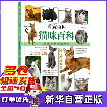 萌宠百科系列——猫咪百科