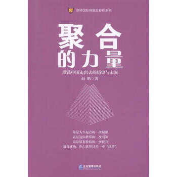 正版当日发货 聚合的力量-游荡中国走出去的历史与未来各阶段学生职场新生代留学教育教育组织机构工作概况