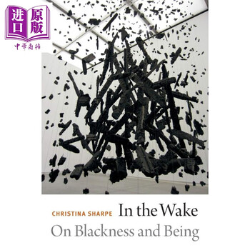 In the Wake:On Blackness And Being 英文原版 觉醒：论黑人和存在