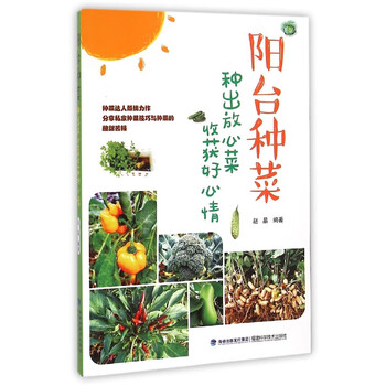 阳台种菜(种出放心菜收获好心情)
