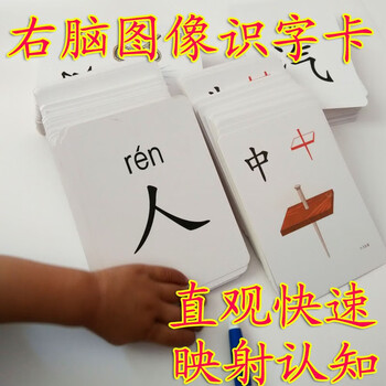 【老师推荐】幼早教启蒙 直映识字卡片 左右脑看图画认字卡片生汉字卡 超大卡 大号/第一册+第二册