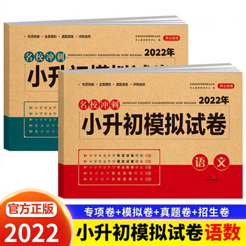 2022新版名校冲刺小升初模拟试卷语文数学英语人教版小学毕业升学总复习模拟卷期中末练习题专项突破 语数2本