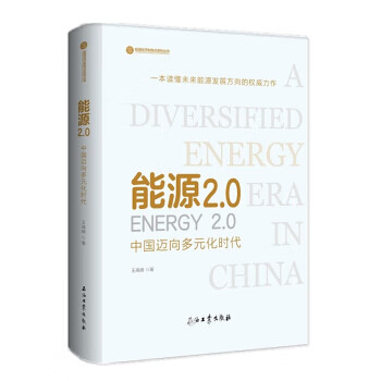 能源2.0：中国迈向多元化时代 王高峰【正版图书】