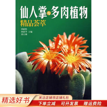 仙人掌与多肉植物精品荟萃