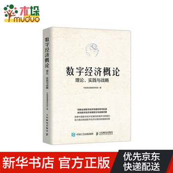 数字经济概论：理论、时间与战略