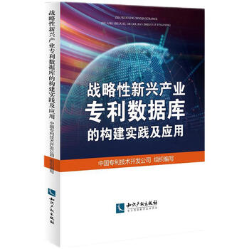 战略性新兴产业专利数据库的构建实践及应用