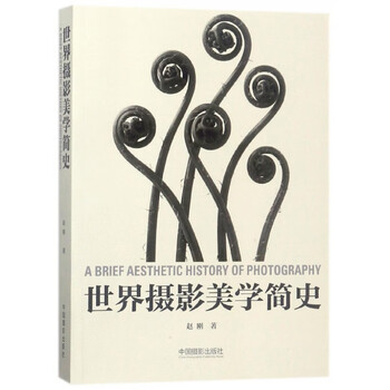 世界摄影美学简史