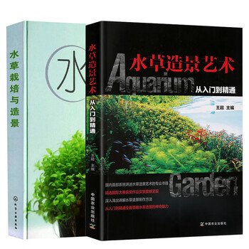  水草造景艺术 从入门到精通王超 鱼缸造景书籍 水族箱 水草布景 风信子养花专