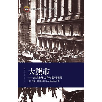 大熊市:危机市场生存与盈利法则 (美)罗斯查尔德　著,顾安　译【正版可开发票】