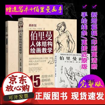 C【全新版本】伯里曼人体结构绘画教学新第3版 人物素描速写大师临摹基础入门提高技法教程人体解剖艺考用