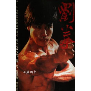 刘拳  广东南拳名家套路 肖永定演述 广东人民出版社