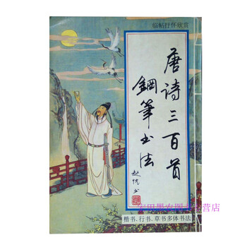 钢笔书法唐诗三百首赵忱书 9787536112773