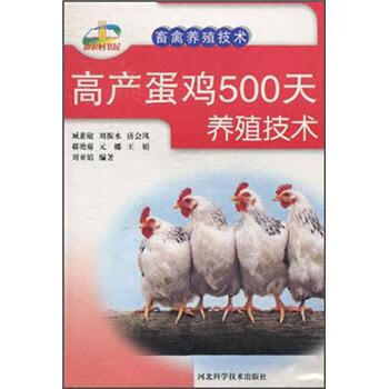 9787537537216 正版图书 新农村书屋 畜禽养殖技术:高产蛋鸡500天养殖技术 藏素敏 等