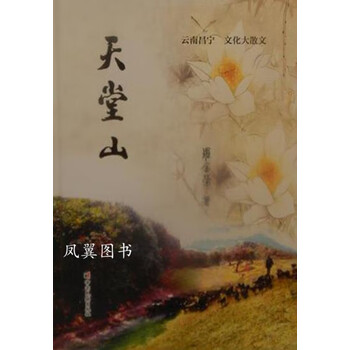 天堂山 罗金荣著 云南民族出版社