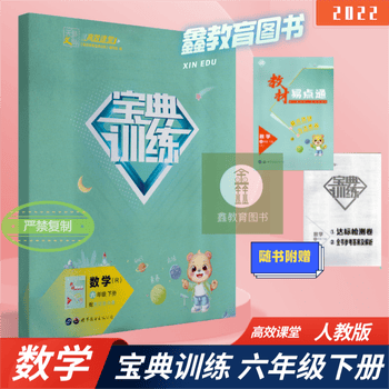 2022版宝典训练数学六年级下册人教版 高效课堂数学6年级下同步训练 易点通 一本在手 练考无忧 9 数学 小学六年级