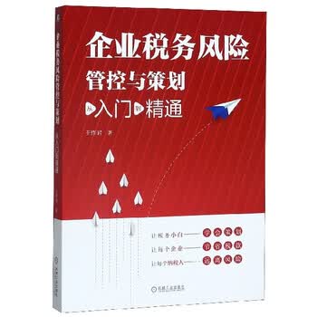 企业税务风险管控与策划(从入门到精通)