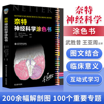 正版奈特神经科学涂色Frank H. Netter武胜昔译剖学的知识以及常见的神经系统病理学基础知