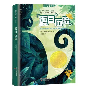 国际大奖小说·成长版——夏日历险