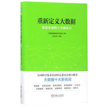 重新定义大数据(改变未来的十大驱动力)(精)