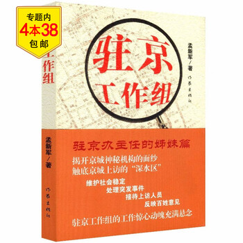 官场小说书 驻京工作组（定价30）