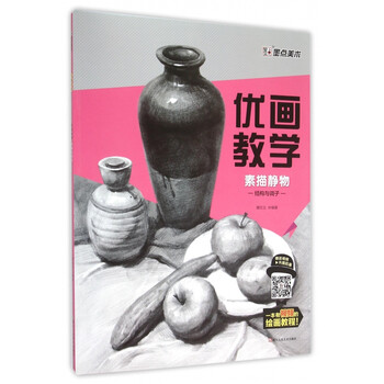 素描静物(结构与调子)/优画教学