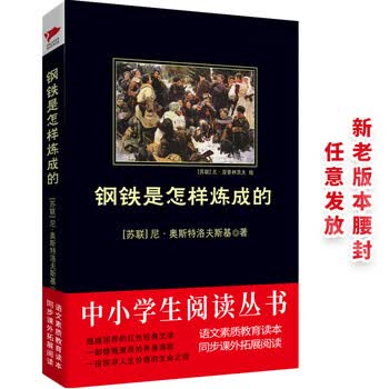 黑皮系列课外阅读：钢铁是怎样炼成的（超越国界的红色经典，慷慨激昂的青春颂歌）红色经典