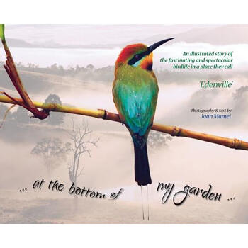 at the bottom of my garden: An illustrated story
