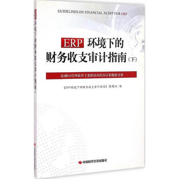 ERP环境下的财务收支审计指南【正版图书】