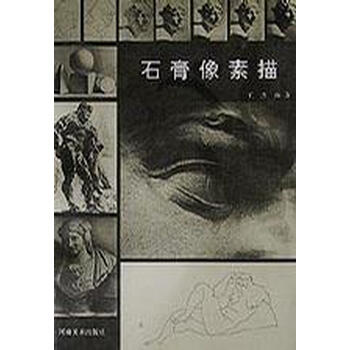 石膏像素描 王杰